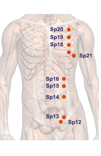 Spleen - Acupuncturepoint Locator
