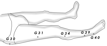 Gallbladder - Acupuncturepoint Locator
