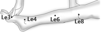 Liver-Meridian - Acupuncturepoint Locator
